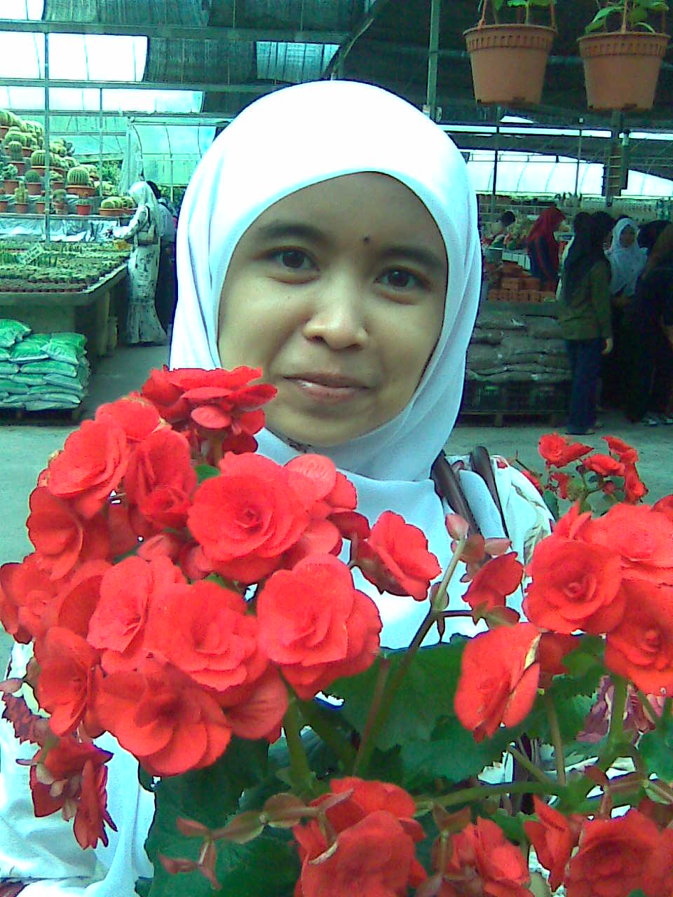 Index of /gambar